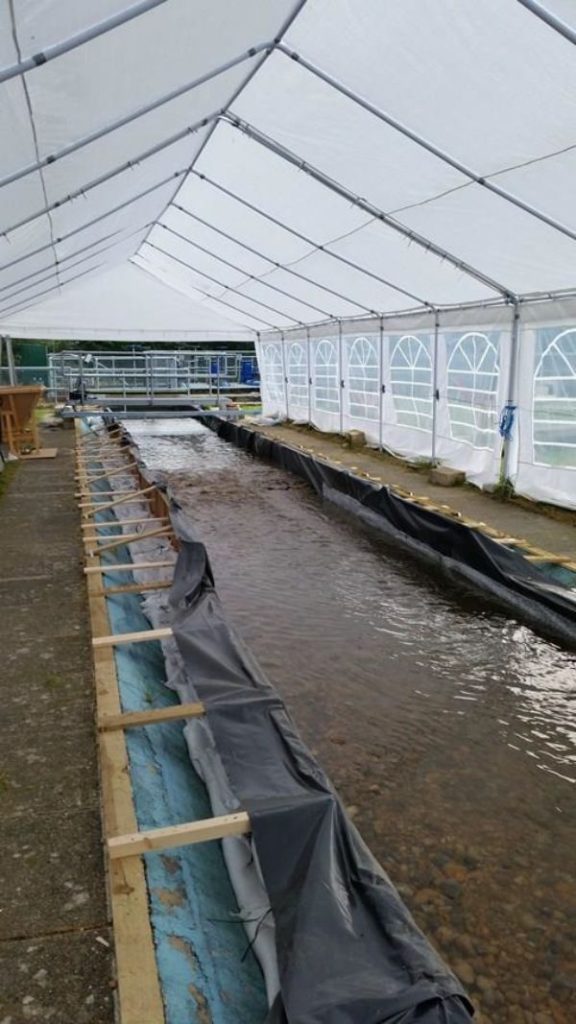 Rolling platform gantry on steel track - Safire Associates